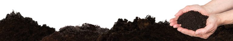 Korkom – Onions and Potatoes